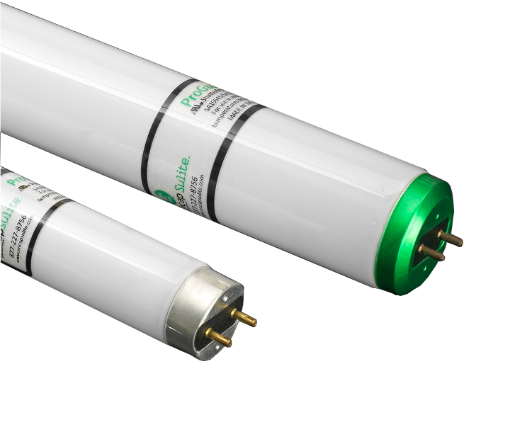 ProGuard PC Standard Temperature Safety Coated Fluorescent Lamps