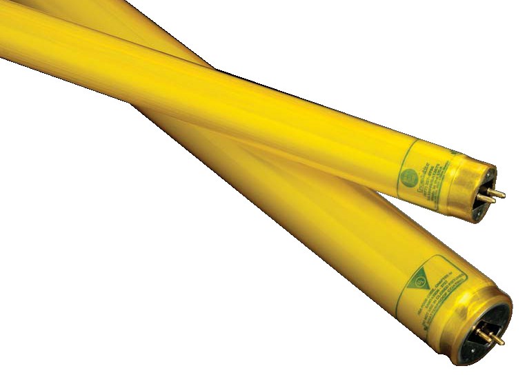 Gold Lighting | Safety Coated Fluorescent Lamps | Encapsulite